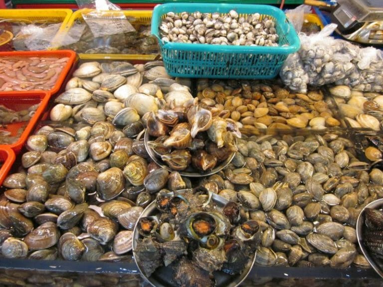 Marketing – East Coast Shellfish Growers Association