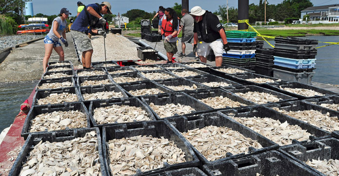 Shellfish Restoration – East Coast Shellfish Growers Association